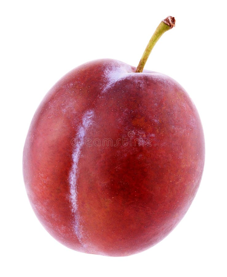 Red plum isolated on white stock image. Image of healthy - 45903085