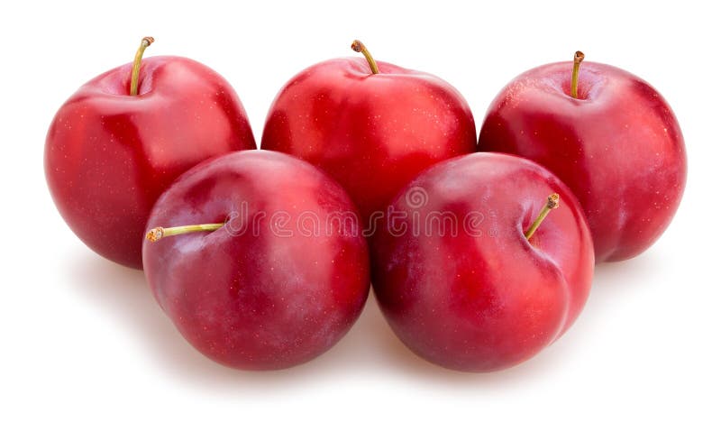Red plum stock photo. Image of stem, stack, bright, plum - 121328822