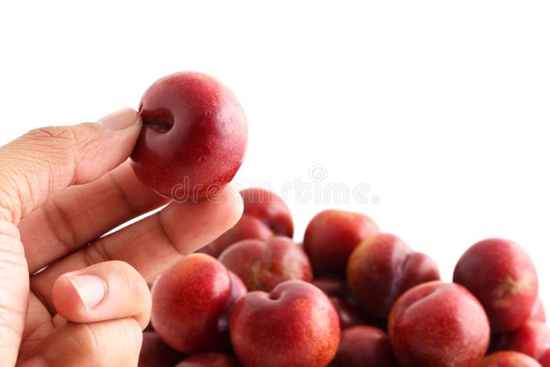 Red Plum on White Background Stock Image - Image of group, plum: 55016299