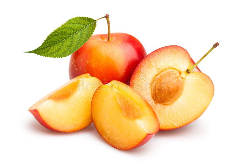 Plum fruit mix stock image. Image of eating, mixture - 33415265