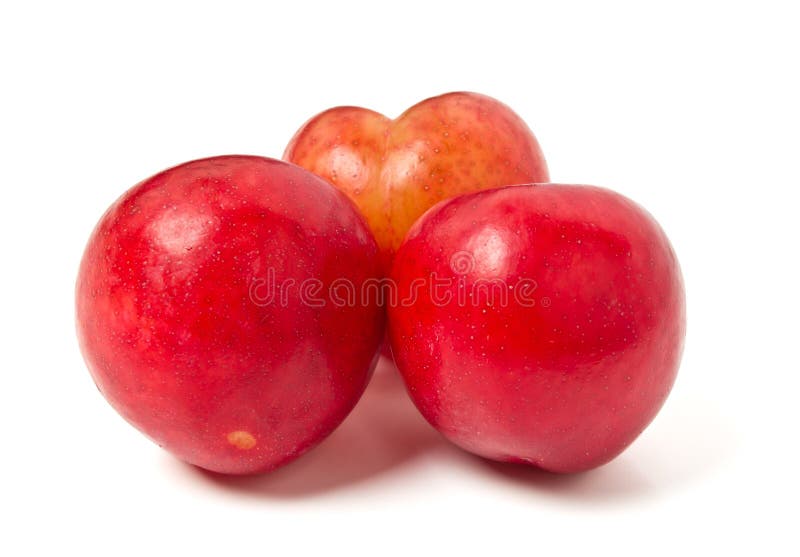 Red Plums stock photo. Image of delicious, juicy, close - 17957426