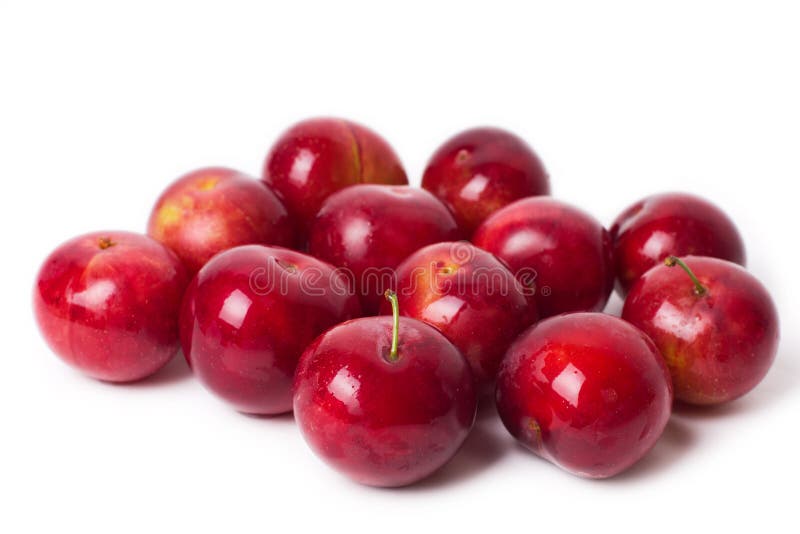 Red plums stock photo. Image of group, vitamin, plum - 20321046