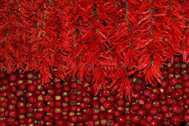 Red Pods of Hot Pepper and Exotic Passion Fruit Stock Photo - Image of ...