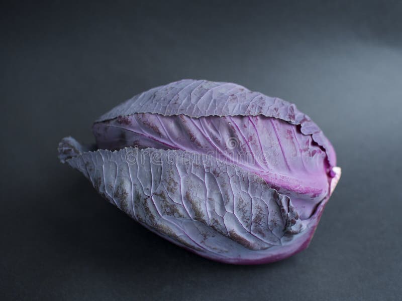 Red Pointed Cabbage Isolated on Black Background Stock Photo - Image of ...