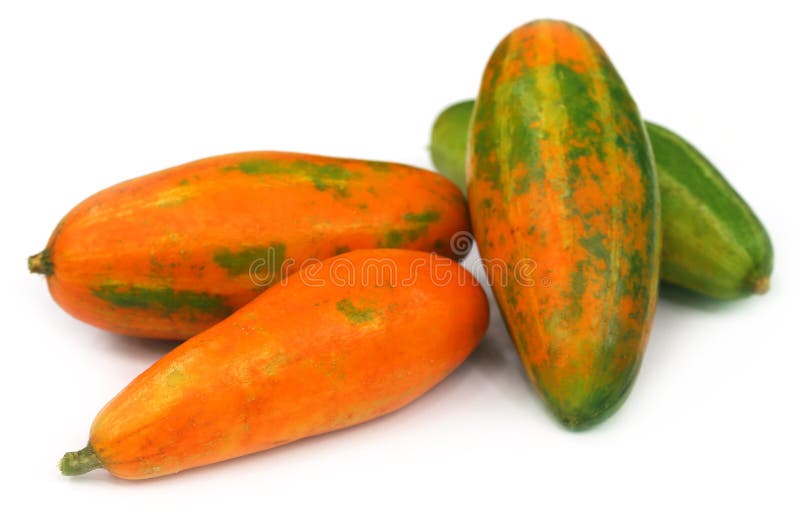 Pointed gourd stock photo. Image of crop, gourd, indian - 20766408