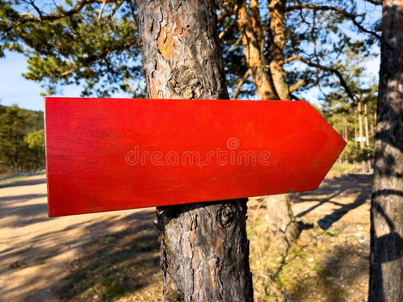 Red Pointer Arrow on a Tree Stock Image - Image of pointer, direction ...