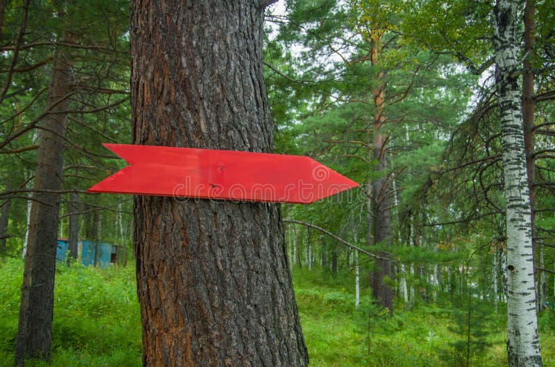 A Red Pointer on a Tree Trunk Indicates the Direction Stock Photo ...