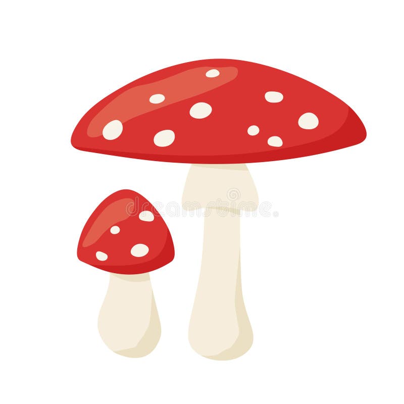 Red Poison Mushroom Amanita, Toadstool Stock Vector - Illustration of ...