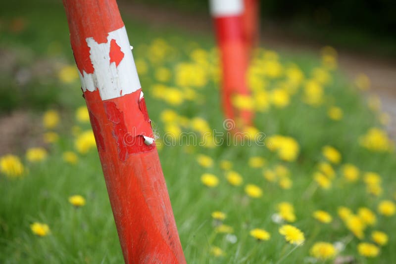 Red pole stock image. Image of landscapes, seeland, petal - 1580549