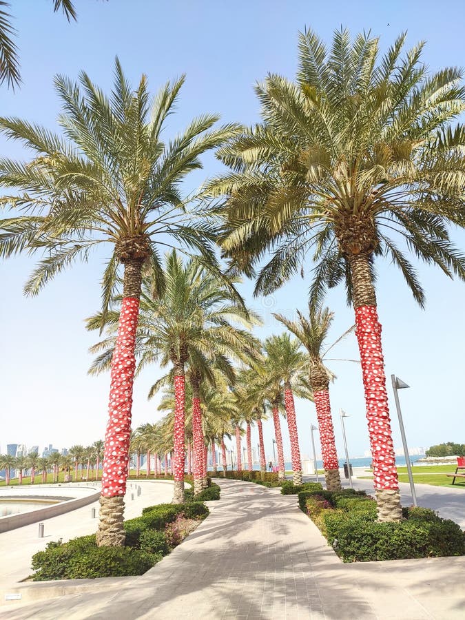 Red polkadot trees stock photo. Image of trees, branch - 269499678