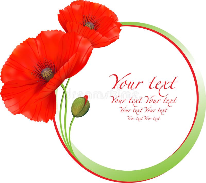 Red Poppies Floral Round Frame. Stock Vector - Illustration of flowers ...