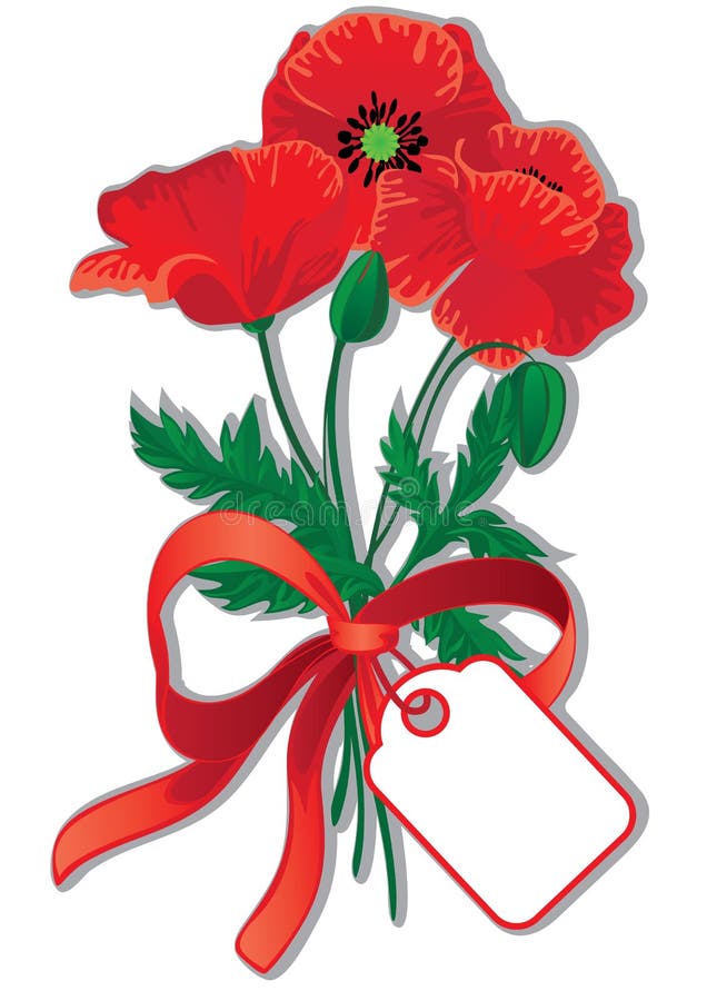 Red poppies with tag stock vector. Illustration of plant - 39820801