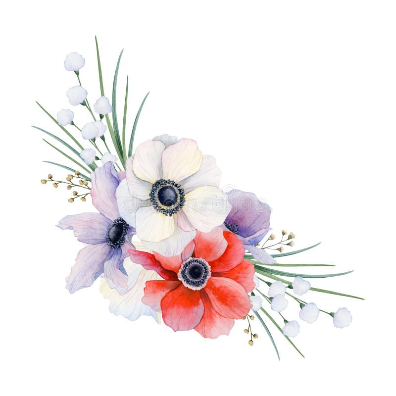 Red Poppies and White and Pastel Purple Field Anemones Flowers Corner ... Red Poppies and White and Pastel Purple Field Anemones Flowers Corner ...