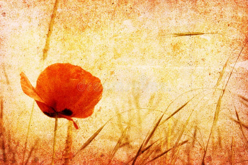 Red poppy stock image. Image of grungy, paintbrush, ragged - 3190393