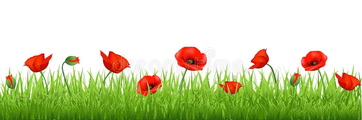 Poppy Corner Stock Illustrations – 1,054 Poppy Corner Stock ...