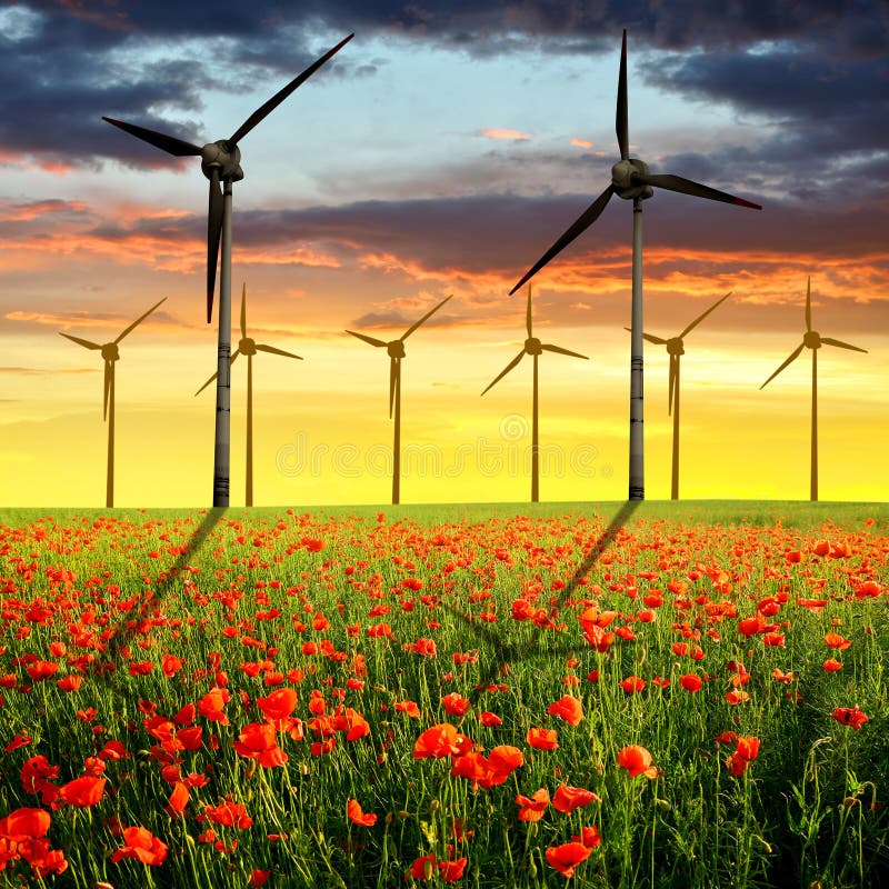 Red Poppy Field and Wind Turbines Stock Image - Image of plant, power ...