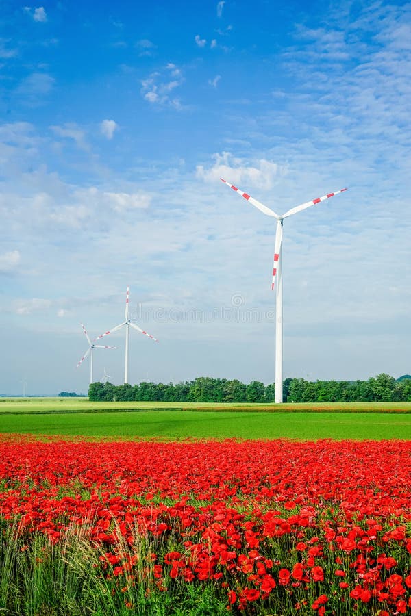 Poppy Filed Against Industrial Plant Stock Photo - Image of nature ...