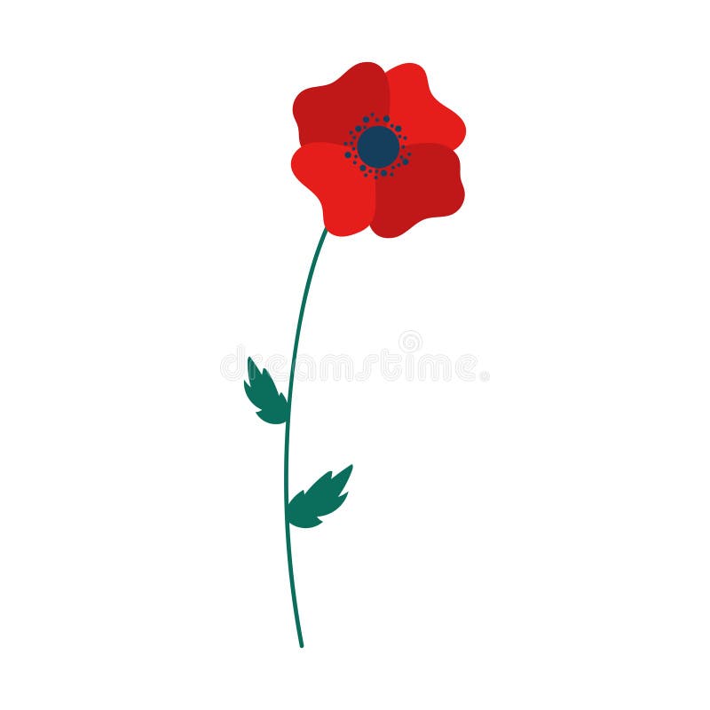 Red Poppy Flower on a Long Stem in Flat Design Vector Stock ...