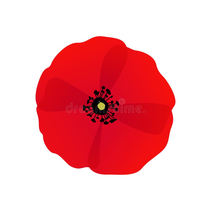 Red Poppy Flower Remembrance Vector Stock Vector - Illustration of ...
