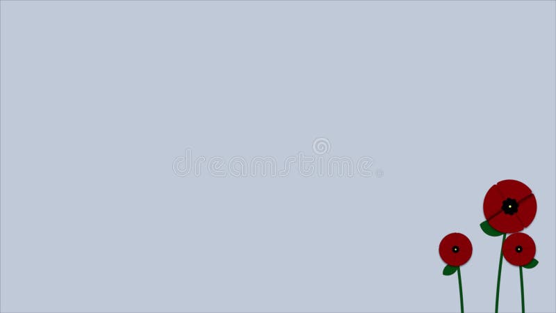 Red Poppy Flowers Animation with Copy Space Stock Footage - Video of ...