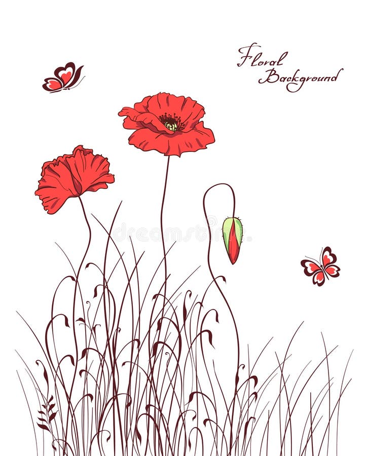 Line Drawing Poppy Stock Illustrations – 9,181 Line Drawing Poppy Stock ...