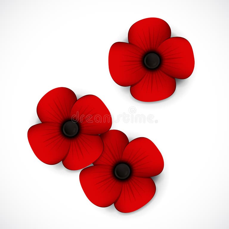 Red poppy remembrance day stock vector. Illustration of poppy - 79688347