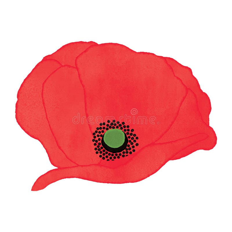 Red Poppy, the Symbolic of Remembrance Stock Illustration ...