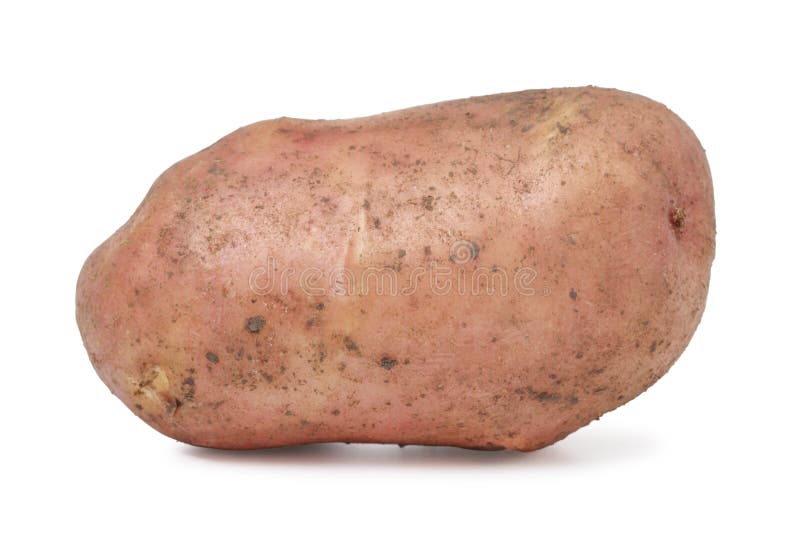 Red potato stock image. Image of farming, groceries - 223285911