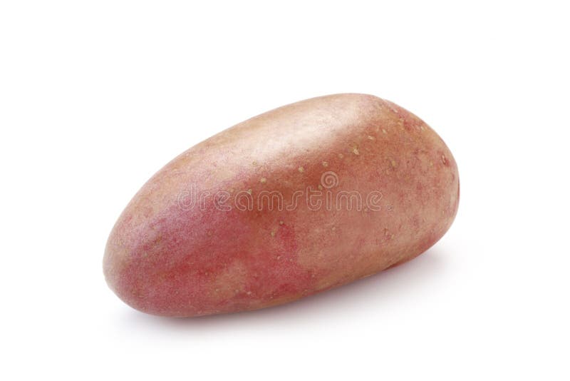 Red Potato stock photo. Image of fresh, vegetables, healthy - 161436656