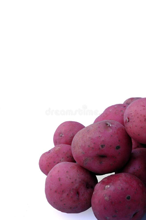 Red potatoes stock photo. Image of healthy, potatoe, cook - 1401912