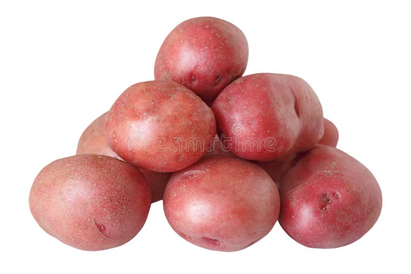 Red Potatoes stock photo. Image of starchy, carbohydrate - 18898226