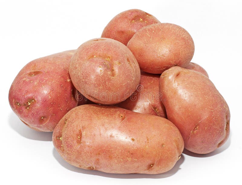 Red Potatoes stock photo. Image of potato, pink, peel - 24442666