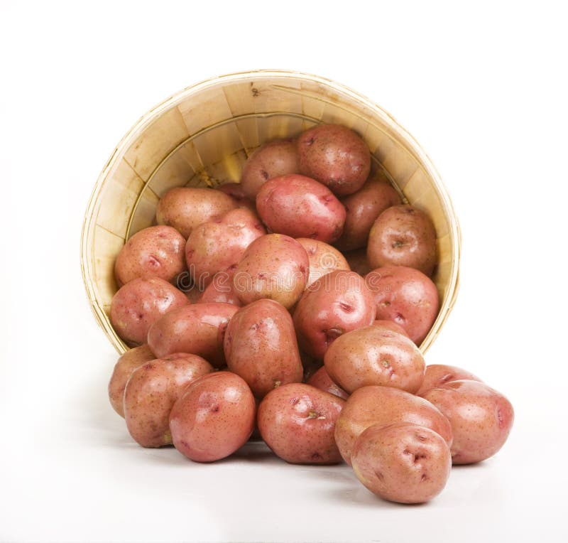 Red Potatoes stock image. Image of crop, skin, potato - 5862887