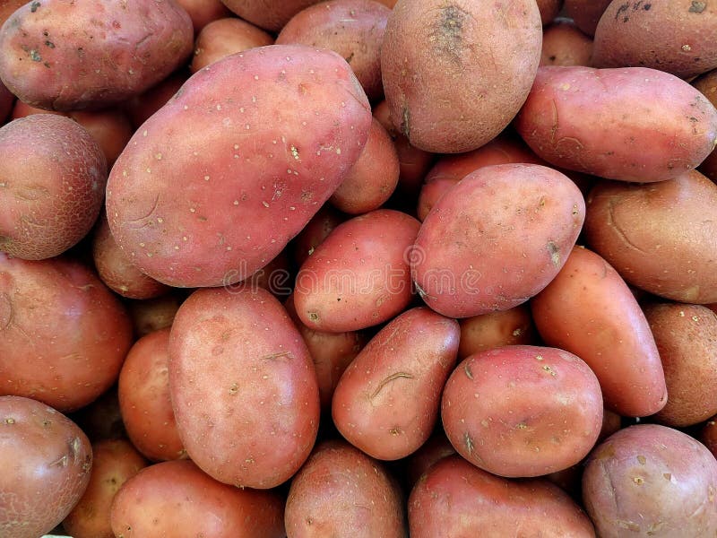 Red potatoes closeup view stock image. Image of citrus - 278466255