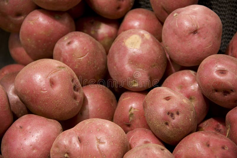 Red Potatoes in Grocery Store Stock Photo - Image of potato, vegetable ...