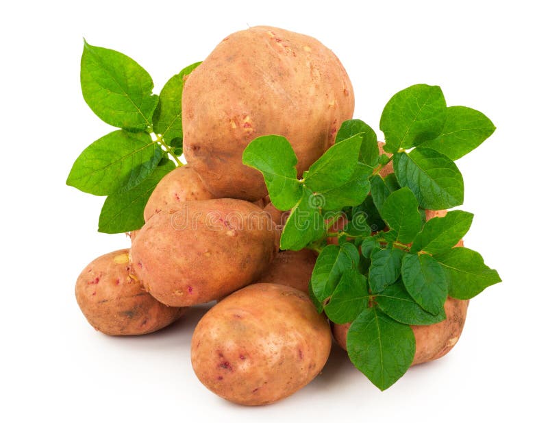 Red potatoes with leaves stock photo. Image of leaf, product - 99404118