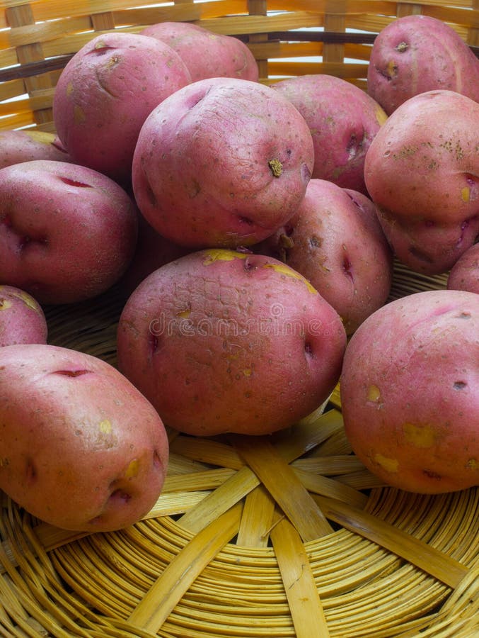 Red Potatoes stock image. Image of fruit, texture, bunch - 31805565