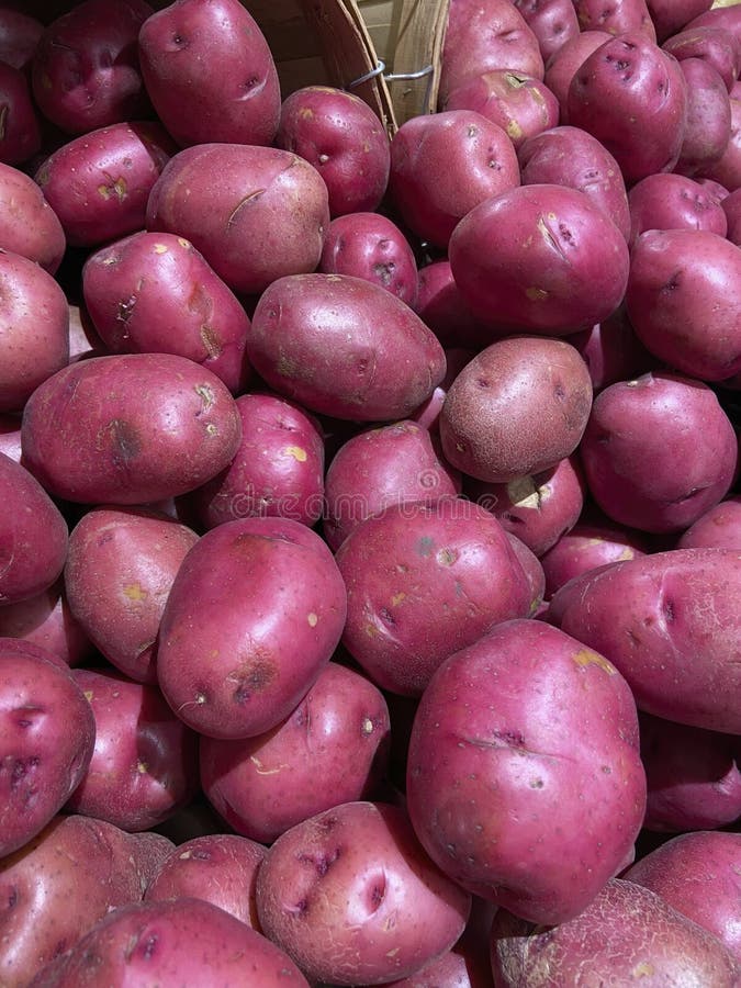 Red Potatoes Produce at a Grocery Store Stock Image - Image of grocery ...