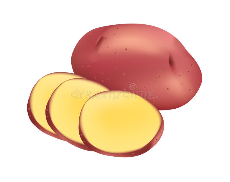 Red potatoes stock vector. Illustration of slices, wallpaper - 94792622