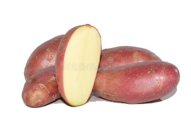 Red potatos and one cut stock image. Image of taste, delicious - 8869347