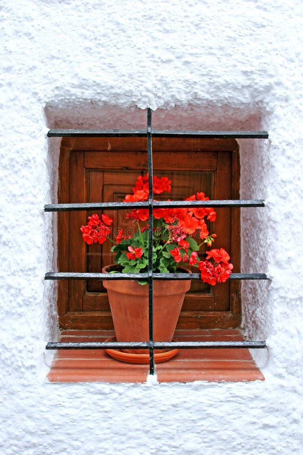 Red Potted Plant Window Sill Bars Stock Photos - Free & Royalty-Free ...