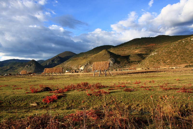 Red Prairie grass stock image. Image of cloud, white, blue - 6948457