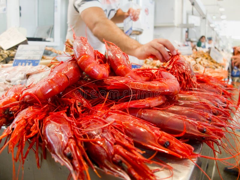 Red prawn in a market. stock photo. Image of prawns, europe - 46821226