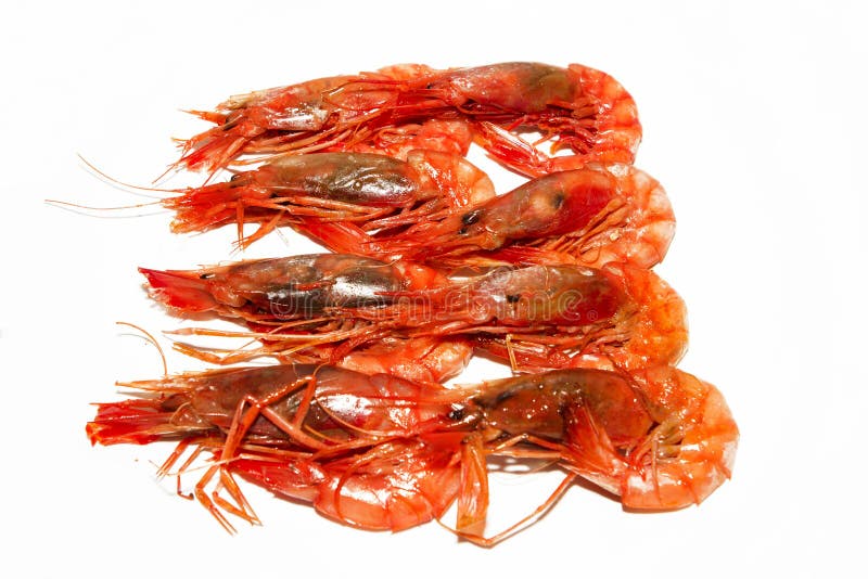 Red prawns cooked stock photo. Image of freshness, cold - 31326034