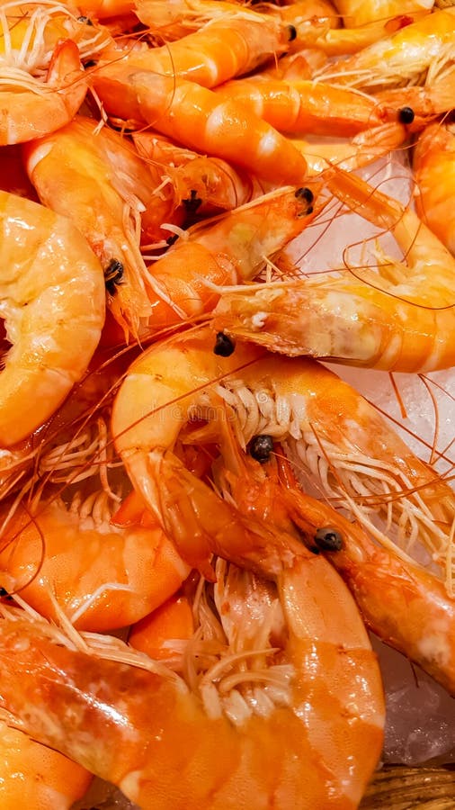 Red prawn in a market. stock photo. Image of prawns, europe - 46821226