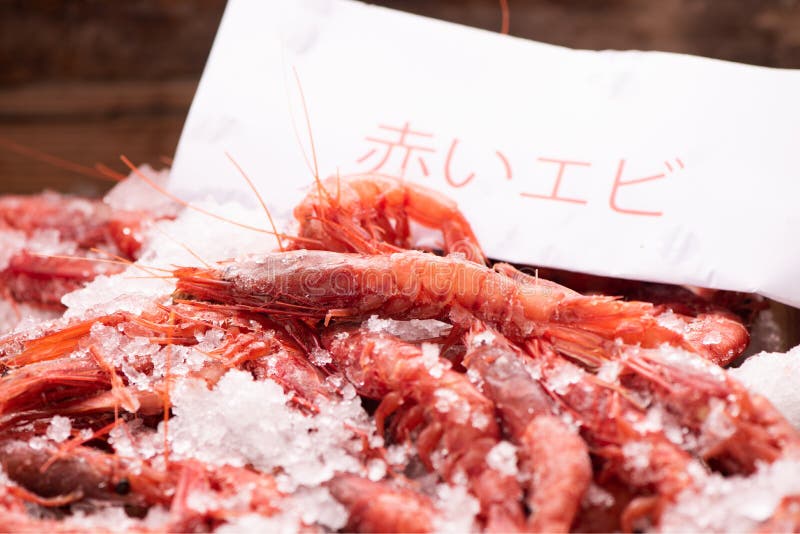 Red Prawns from Mediterranean Sea Stock Photo - Image of seafood ...