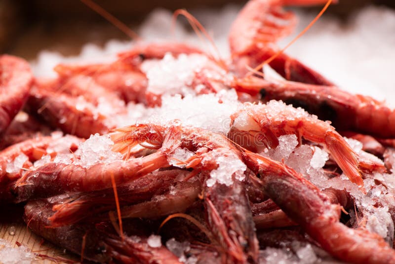 Red Prawns from Mediterranean Sea Stock Photo - Image of market ...