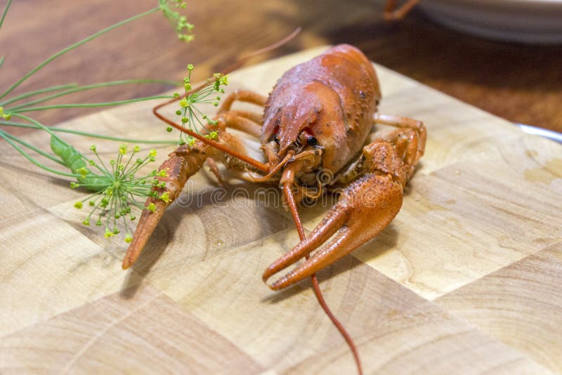 Red Prepared Crayfish with Dill on Wooden Board Stock Photo - Image of ...