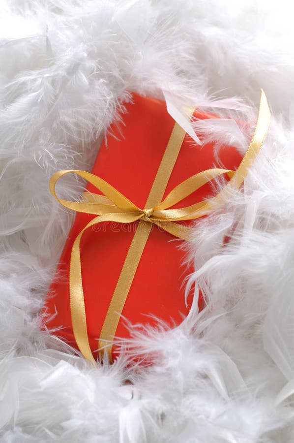 Red present stock image. Image of feather, christmas - 12306879