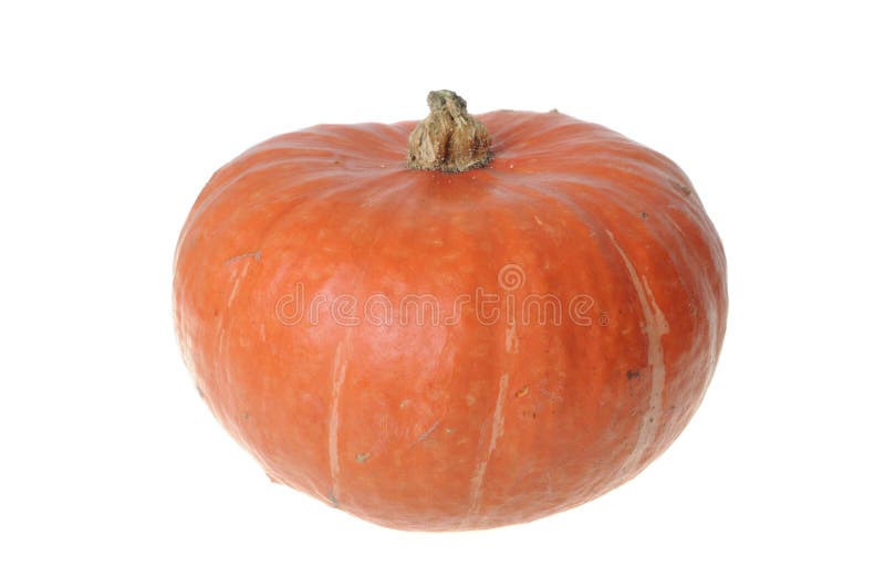Pumpkin stock image. Image of season, object, circle - 11482023